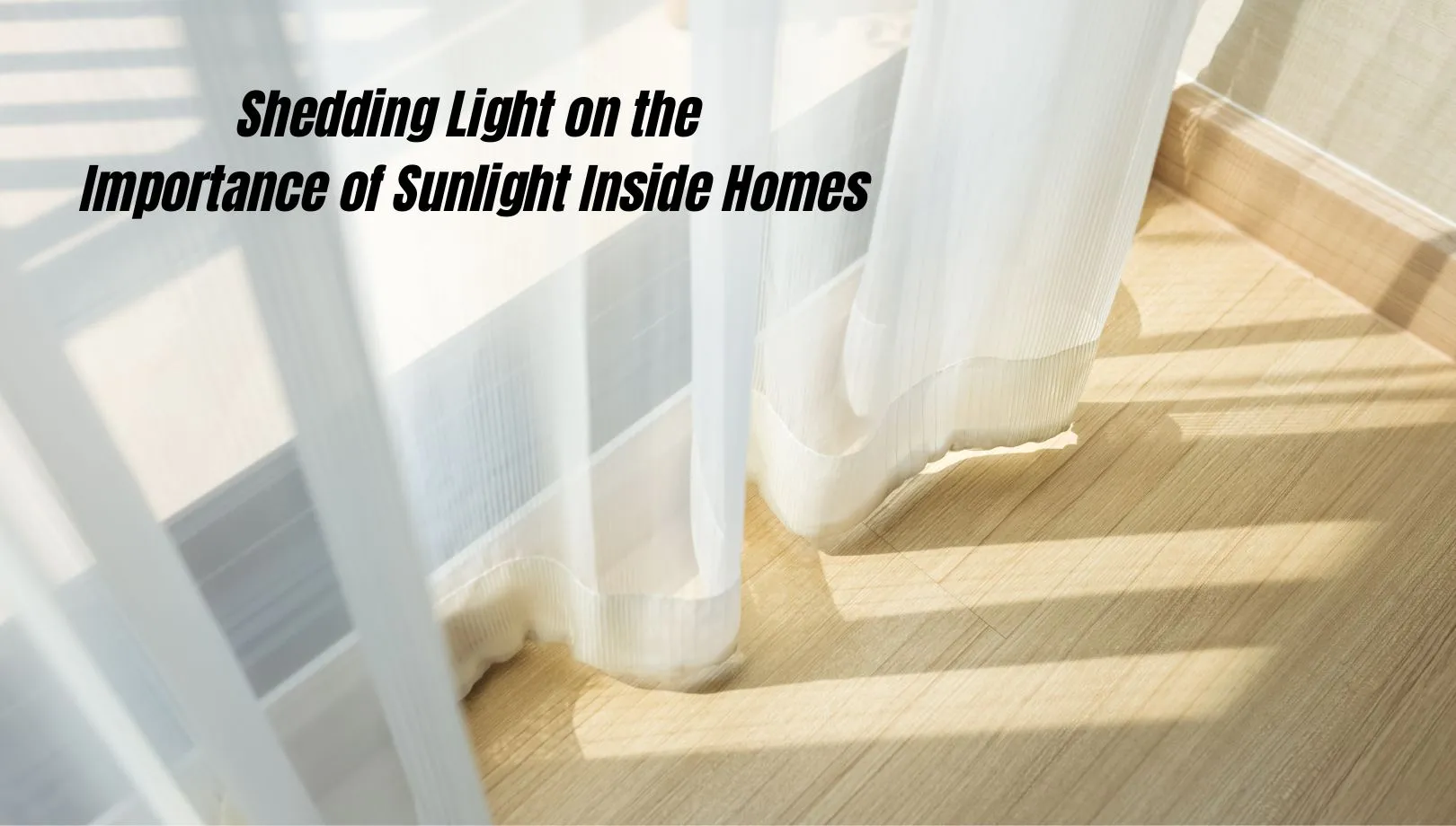 Shedding Light on the Importance of Sunlight Inside Homes